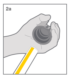 CPVC Pipe Installation Instructions | FlowGuard Gold