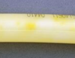 Why PEX Fittings Leak and How to Identify the Cause | FlowGuard Gold